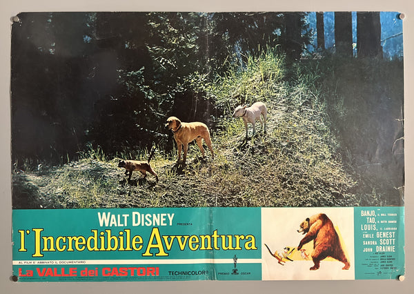 Walt Disney L'Incredibile Avventura #6 – Poster Museum