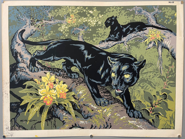 Two Black Panthers Print – Poster Museum