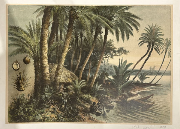 Indian Settlement – Poster Museum