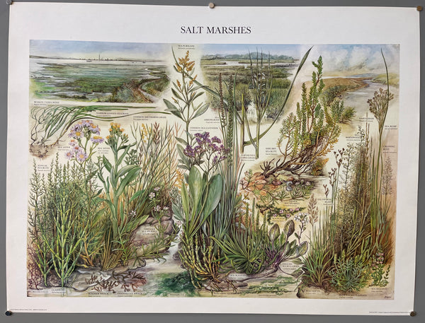 Salt Marshes Poster – Poster Museum