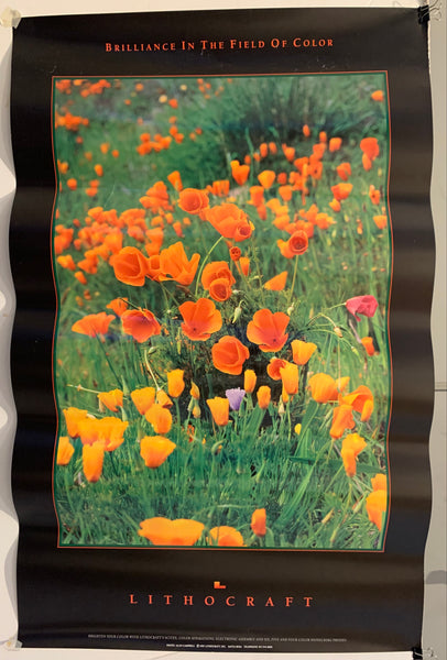 Lithocraft Ad Poster – Poster Museum