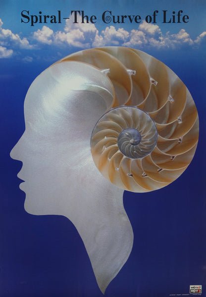 Spiral - The Curve Of Life – Poster Museum